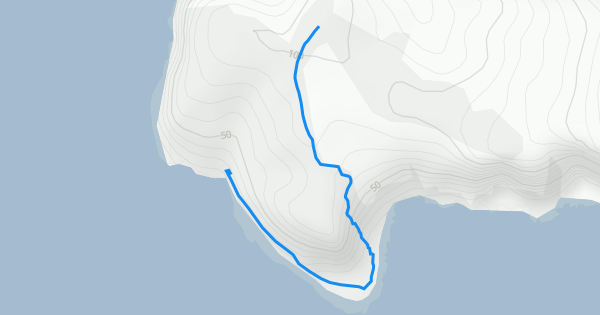 Shipsterns Bluff Track Hiking Trail - Cape Raoul