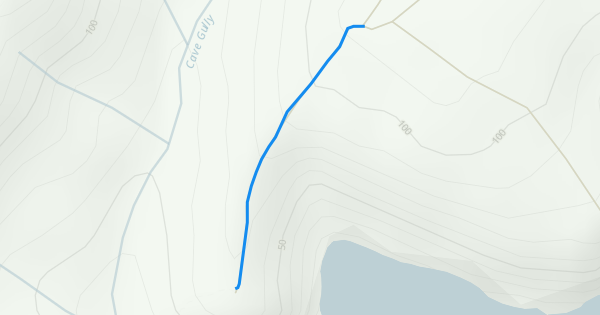 Bombi Moor Trail Hiking Trail - Terrigal | Trailforks