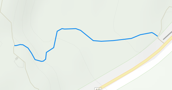 Burrawang Walking Track Hiking Trail - Magenta