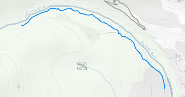 Thomas River Track Multi Trail - | Trailforks