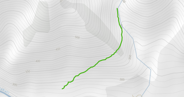 Ashley Gorge Waterfall Track Hiking Trail