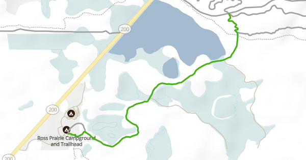 Ross Prairie Trail Multi Trail - Ocala, Florida