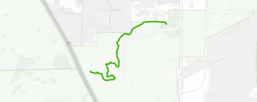 North Landbridge Trail Multi Trail - Ocala, Florida