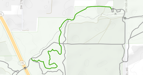 North Landbridge Trail Multi Trail - Ocala, Florida