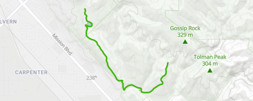 High Ridge Loop Trail Mountain Biking Trail - Hayward