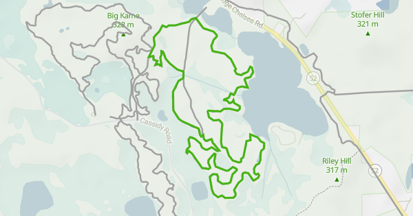 Green Lake Loop Multi Trail - Chelsea, Michigan