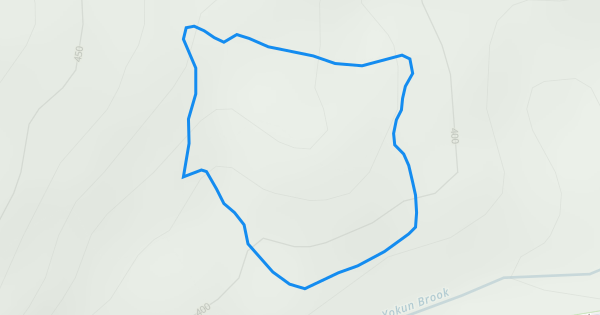 Hermit Thrush Loop Trail Hiking Trail - Lenox, MA