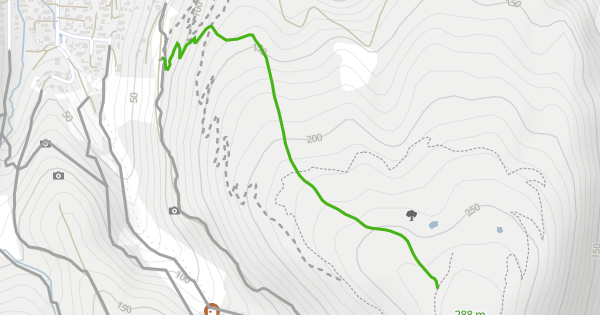 Kowhai Walking Track Hiking Trail - | Trailforks