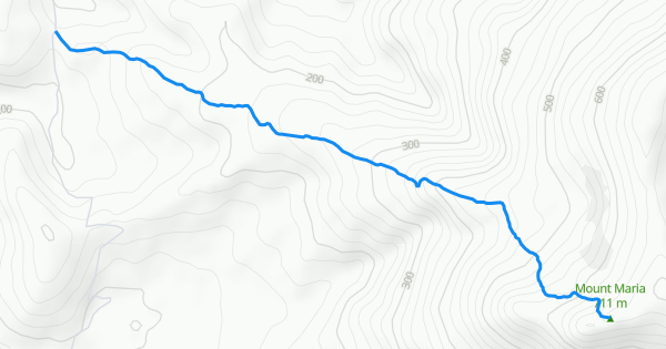 Mount Maria Track Hiking Trail - Maria Island