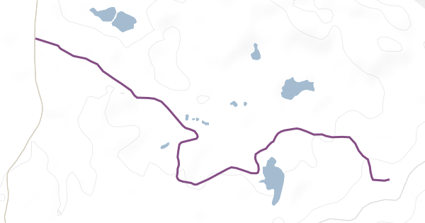 Mount Cameron Access Track Hiking Trail - Gladstone TAS