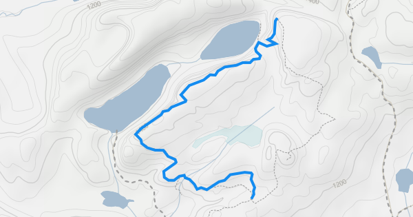 NCT/SHT - Bean and Bear Lakes Loop Multi Trail - Silver Bay, MN