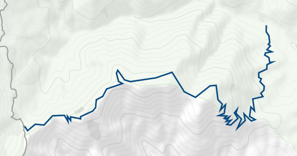 Pike29 Memorial Track Multi Trail - Reefton | Trailforks