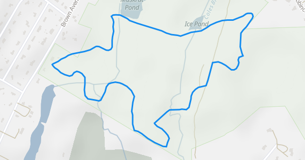 Perimeter Trail Hiking Trail - Taunton, Massachusetts