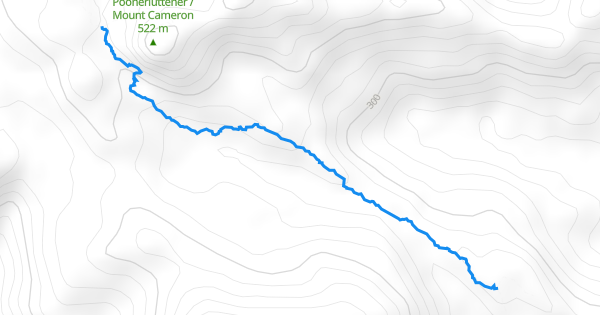 Mount Cameron Track (from Cube Rock Trail) Hiking Trail - Gladstone TAS