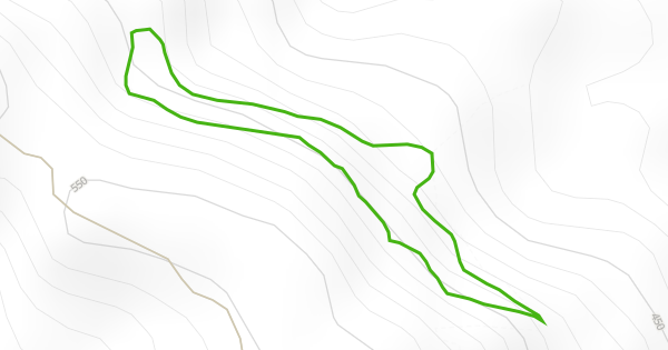 Giant Blue Tier Walking Loop Track Hiking Trail - weldborough