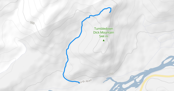 Little Bear Mountain Trail Hiking Trail - Pinkham Notch, NH