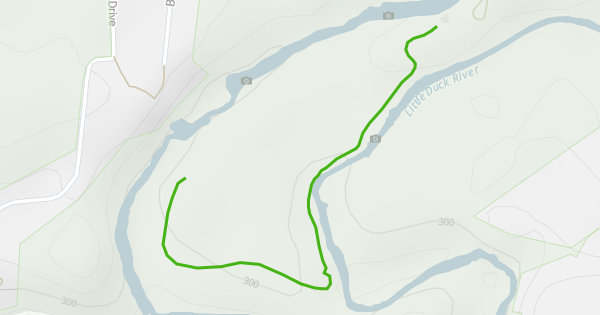 Moat Trail Hiking Trail - Manchester, Tennessee