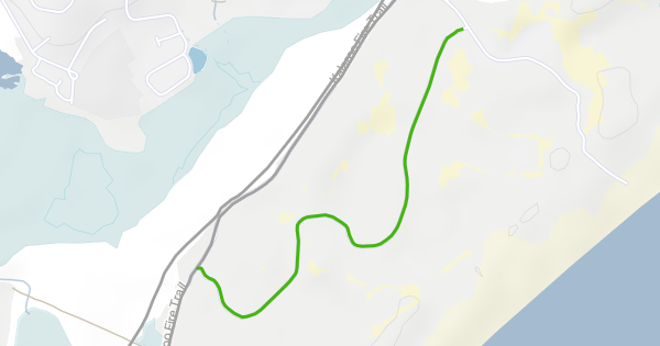 Sandy Plain Loop Multi Trail - Newcastle | Trailforks