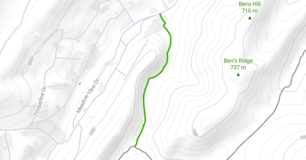 Trout Pond Run Trail Hiking Trail - Basye, Virginia