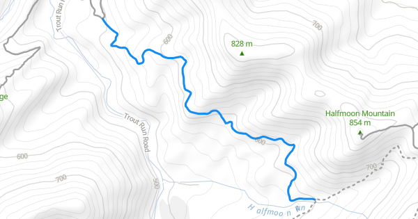Bucktail Cutoff Trail Hiking Trail - Basye, Virginia