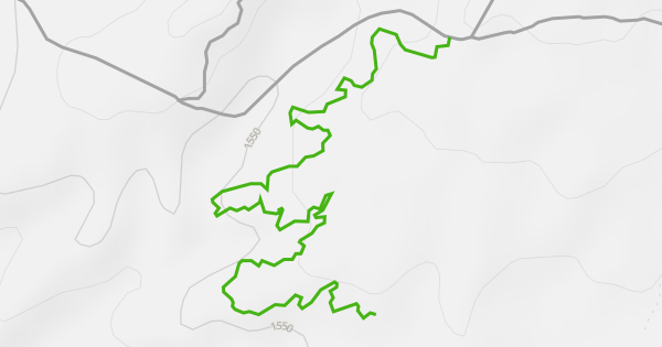 Lizard Loop Mountain Biking Trail - Fruita, Colorado