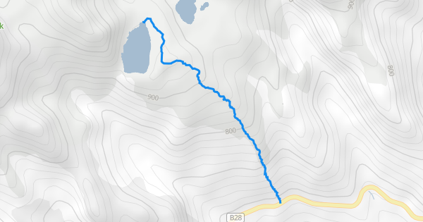 Lake Sandra Track Hiking Trail - Rosebery | Trailforks