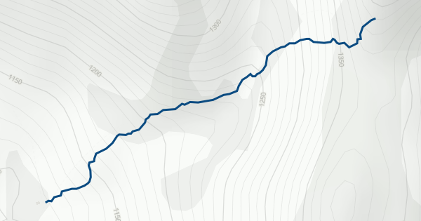 Waingaro Peak Route Hiking Trail - Takaka | Trailforks