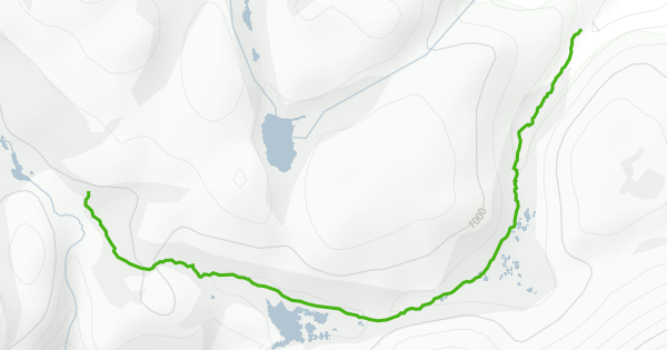 Mount Pillinger - Arm River Loop Track Hiking Trail