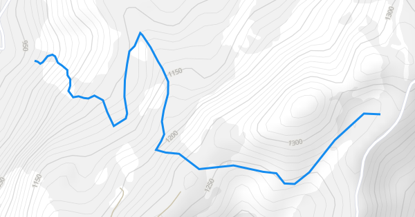Trilha do Bugio Nova Mountain Biking Trail - Socorro