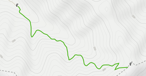 Upper Quail Stream Track Hiking Trail - Blenheim