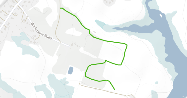 Bluebird Loop Trail Multi Trail - Baltimore, Maryland