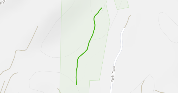 Ellison Park South Trail Hiking Trail - Penfield, NY