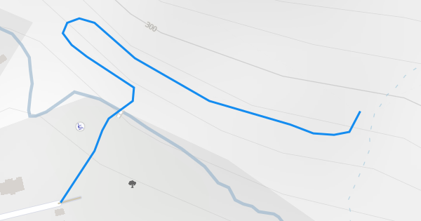 Tanbark Trail Hiking Trail - Phoenicia, New York