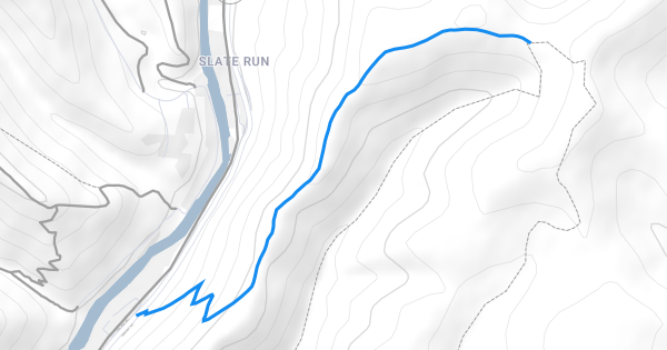 Dradon's Back Trail Hiking Trail - Slate Run, PA