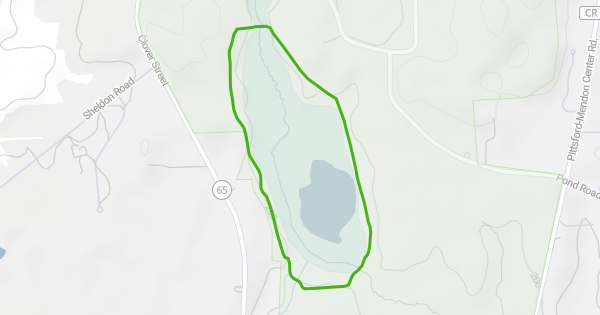 Quaker Pond Loop Trail Multi Trail - Mendon, New York