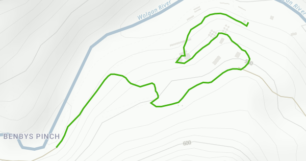 The Ruins Track Hiking Trail - Newnes Forest, Lithgow