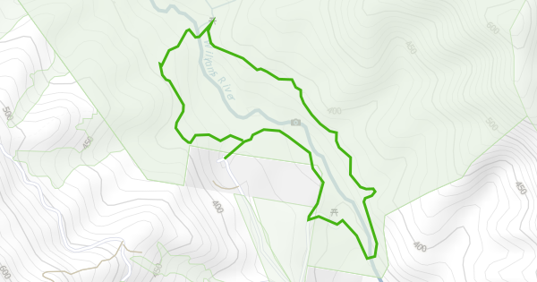 Blue Gum Loop Track Mountain Biking Trail - Dungog