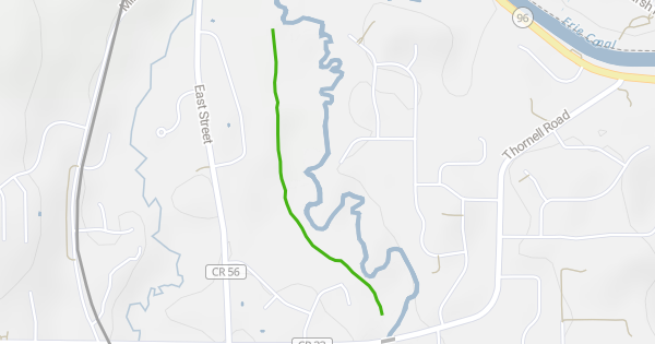 Sugar Bush Loop Trail Multi Trail - Fairport, New York