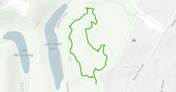 Lakeside Forest Loop Track Hiking Trail - Tahmoor