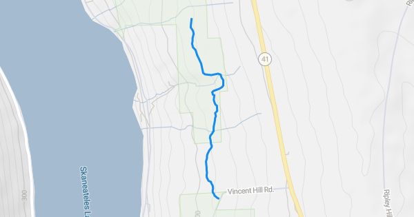 Hinchcliff to High Vista Connection Hiking Trail - Spafford