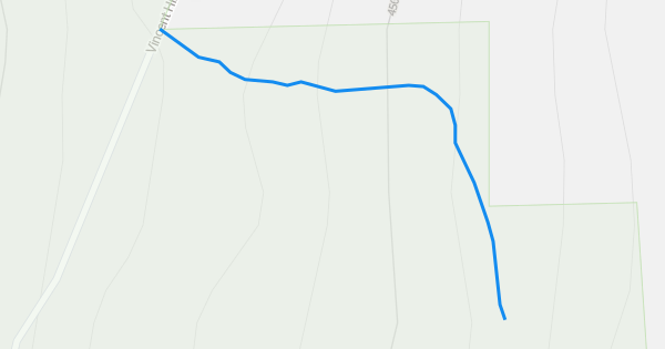 High Vista Trail Hiking Trail - Spafford, New York