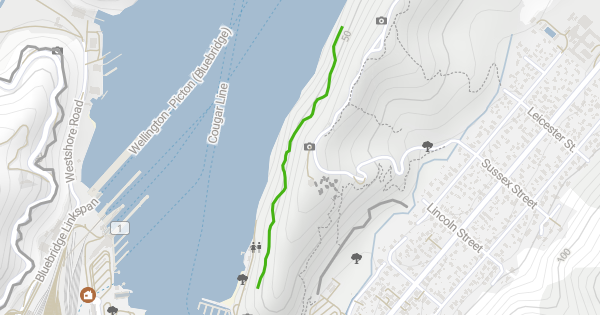 Upper Bobs Bay Track Hiking Trail - | Trailforks