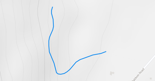 Cook Mountain Lower Loop Trail Hiking Trail - Brant Lake