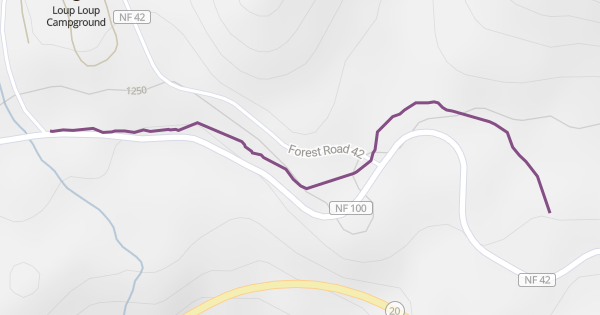 Sno Park to Loup Gate Multi Trail - Winthrop, Washington