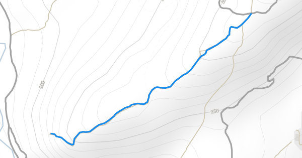 Graffiti Cliff Trail Multi Trail - Rockaway Township