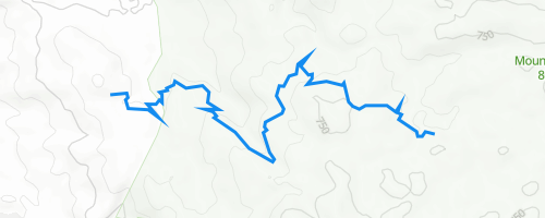 Blue Tier Wilderness Trail Mountain Biking Trail