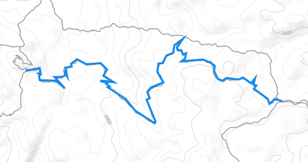 Blue Tier Wilderness Trail Mountain Biking Trail