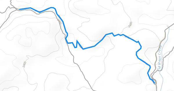 Blue Tier Wilderness Trail Mountain Biking Trail