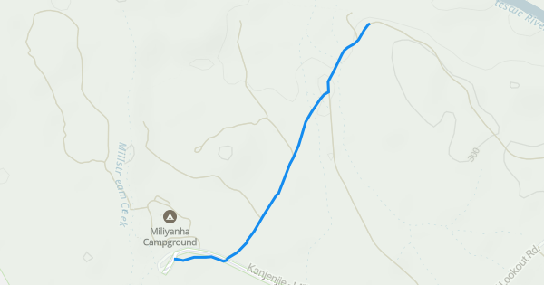 Red Roo Trail Hiking Trail - | Trailforks