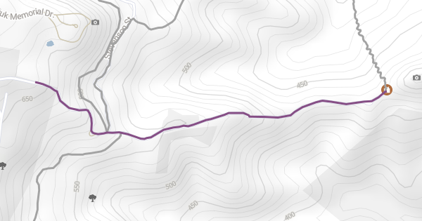 Table Top Drive Mountain Biking Trail - Toowoomba
